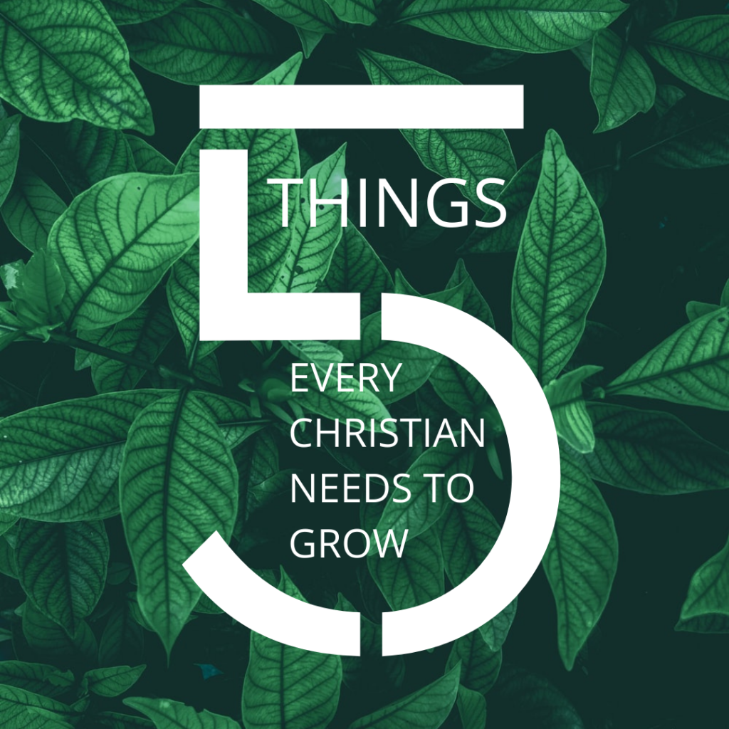 Five Things Every Christian Needs to Grow - Highview Evangelical ... Five Things Every Christian Needs to Grow - Highview Evangelical ...